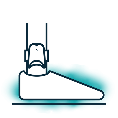 Motio Functional Report – Amparo