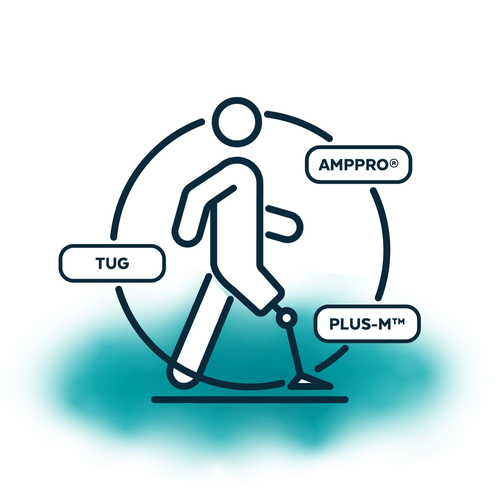 Motio Functional Report – Amparo