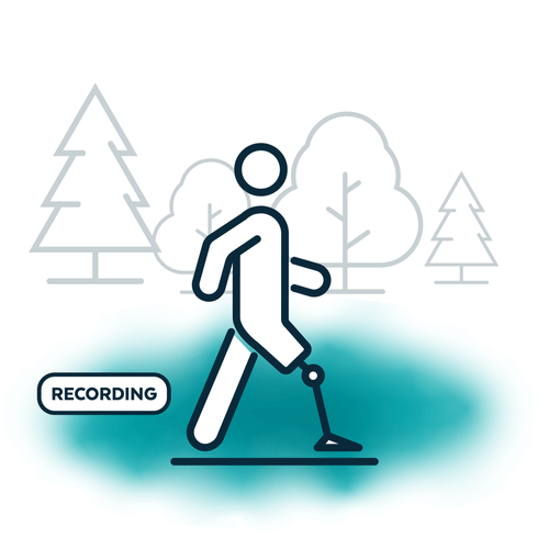 Motio Functional Report – Amparo