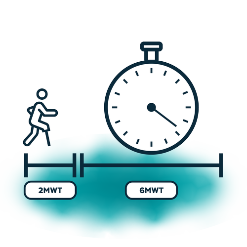 Motio Functional Report – Amparo