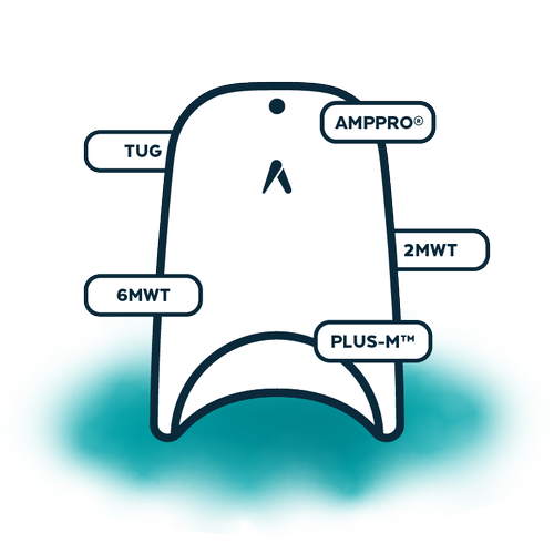 Motio Functional Report – Amparo