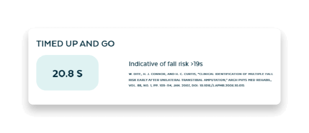 Motio Functional Report – Amparo